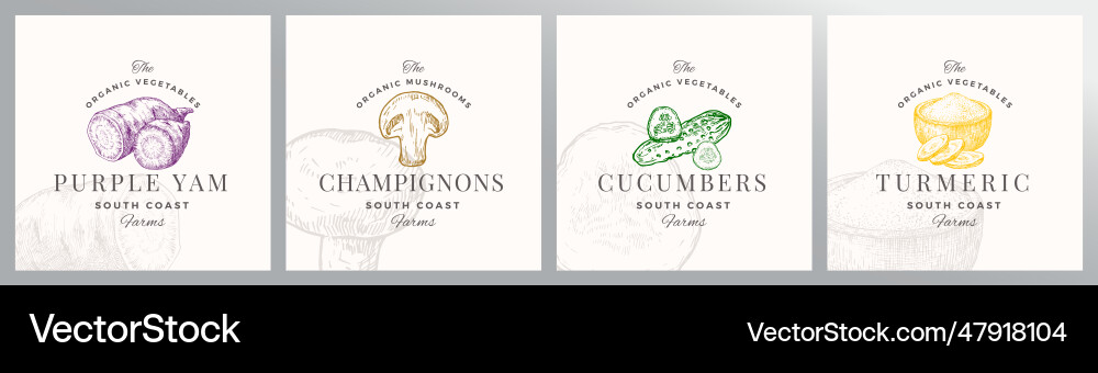 Organic vegetables logo templates set hand drawn Vector Image