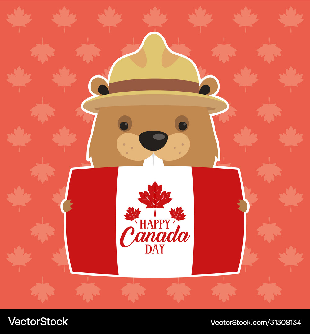Happy canada day with beaver and flag Royalty Free Vector