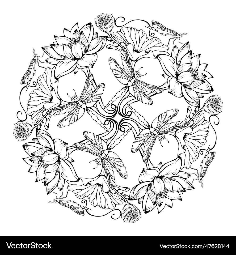 Botanical mandala with aquatic plants Royalty Free Vector