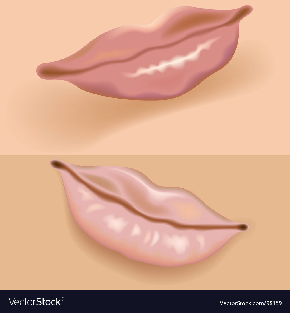 Lips Royalty Free Vector Image - VectorStock