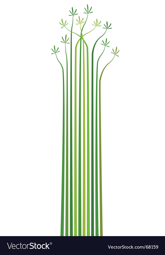 Palms Royalty Free Vector Image - VectorStock Palms Royalty Free Vector Image - VectorStock