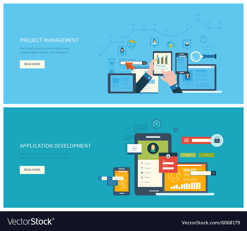 Project management and application development Vector Image