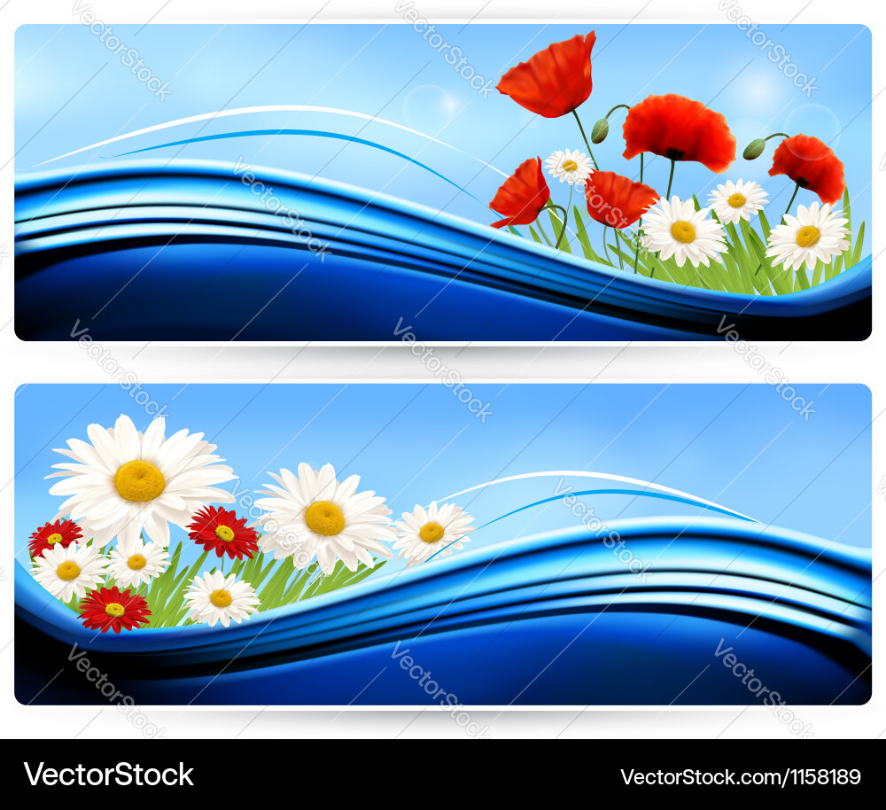 Nature banners with color flowers Royalty Free Vector Image