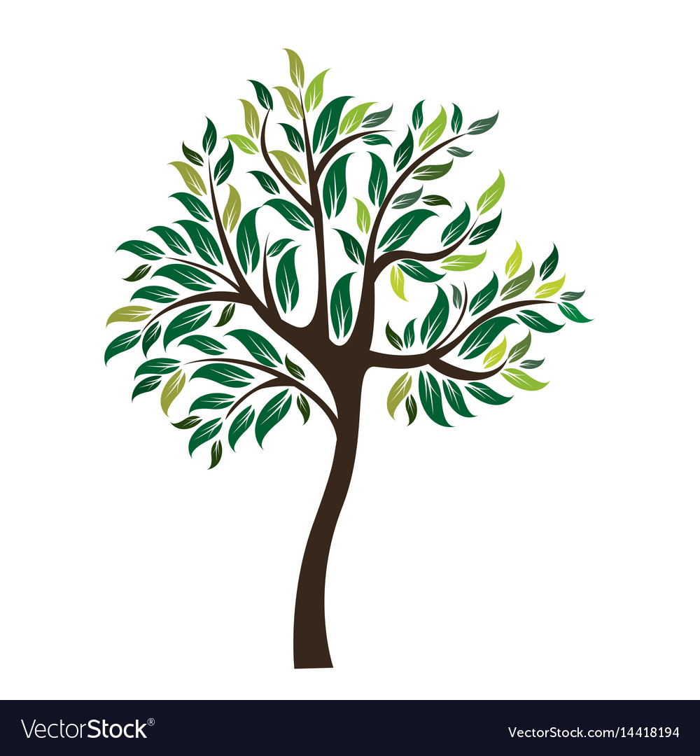 Tree Royalty Free Vector Image - VectorStock