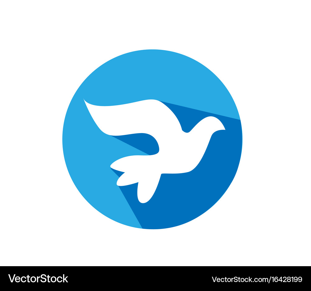 Dove on white background Royalty Free Vector Image