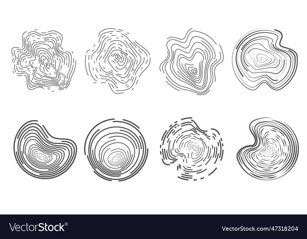 Linear wooden tree rings pattern topography Vector Image