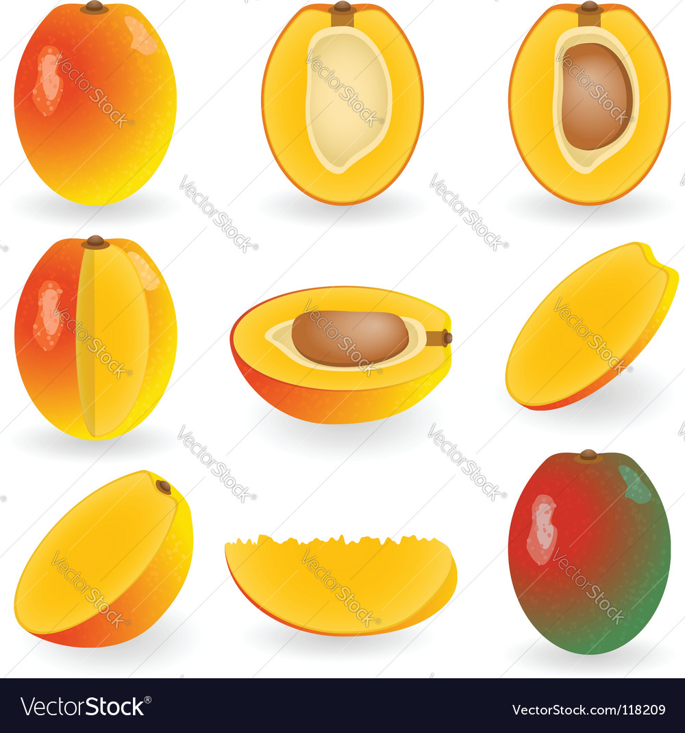 Mango Royalty Free Vector Image - VectorStock