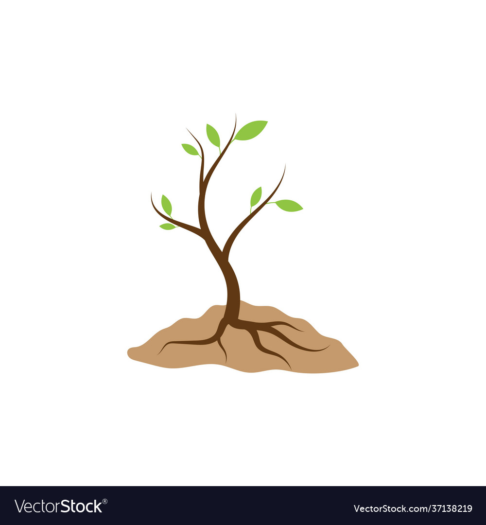 Plant Life Process Royalty Free Vector Image VectorStock plant-life-process-royalty-free-vector-image-vectorstock