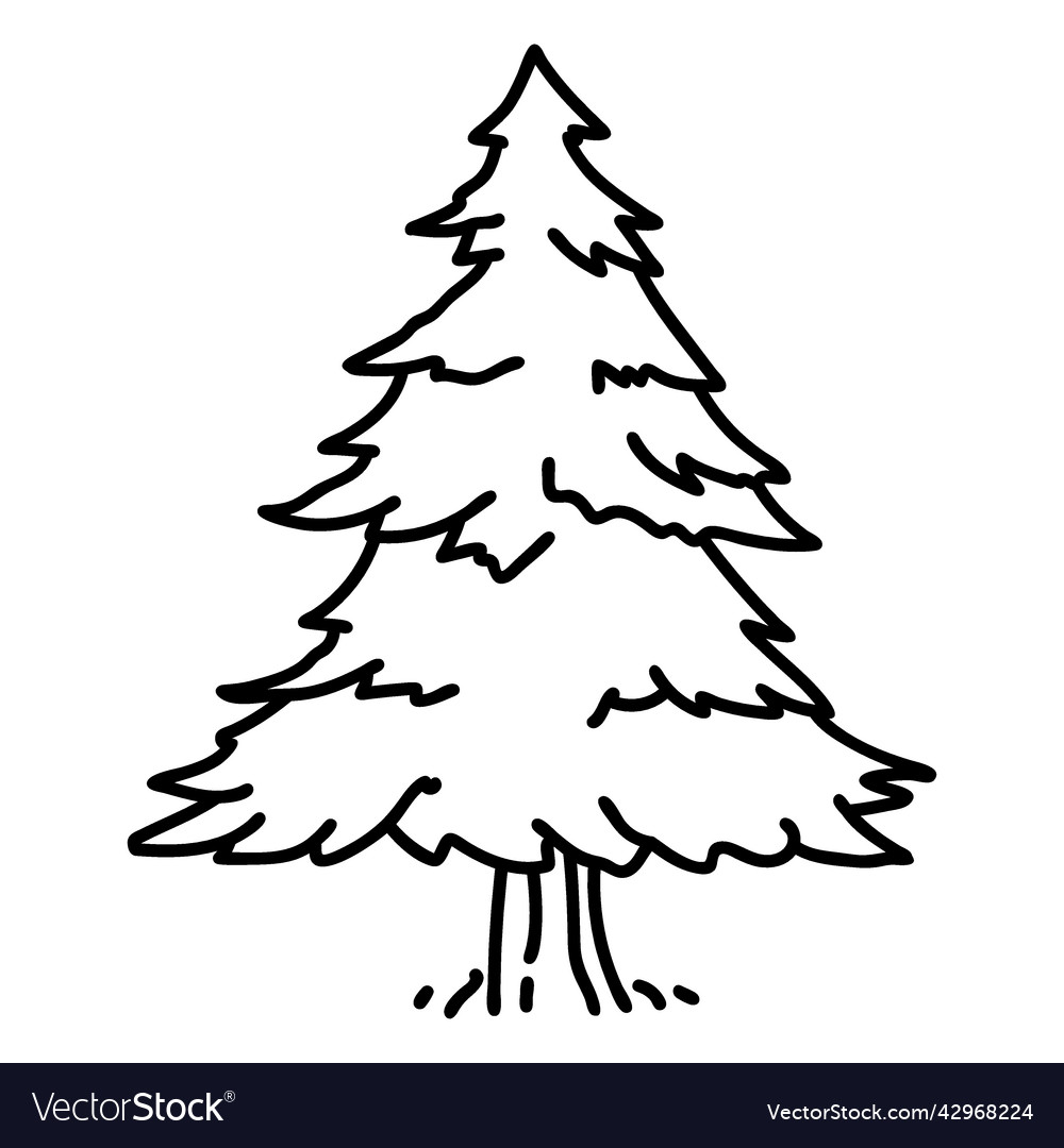 Simple stroke big pine Royalty Free Vector Image