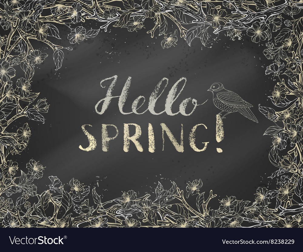 Chalk spring template Royalty Free Vector Image