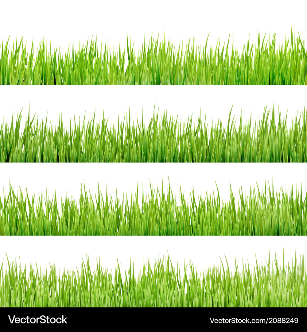 Vibrant Green Spring Grass Royalty Free Vector Image