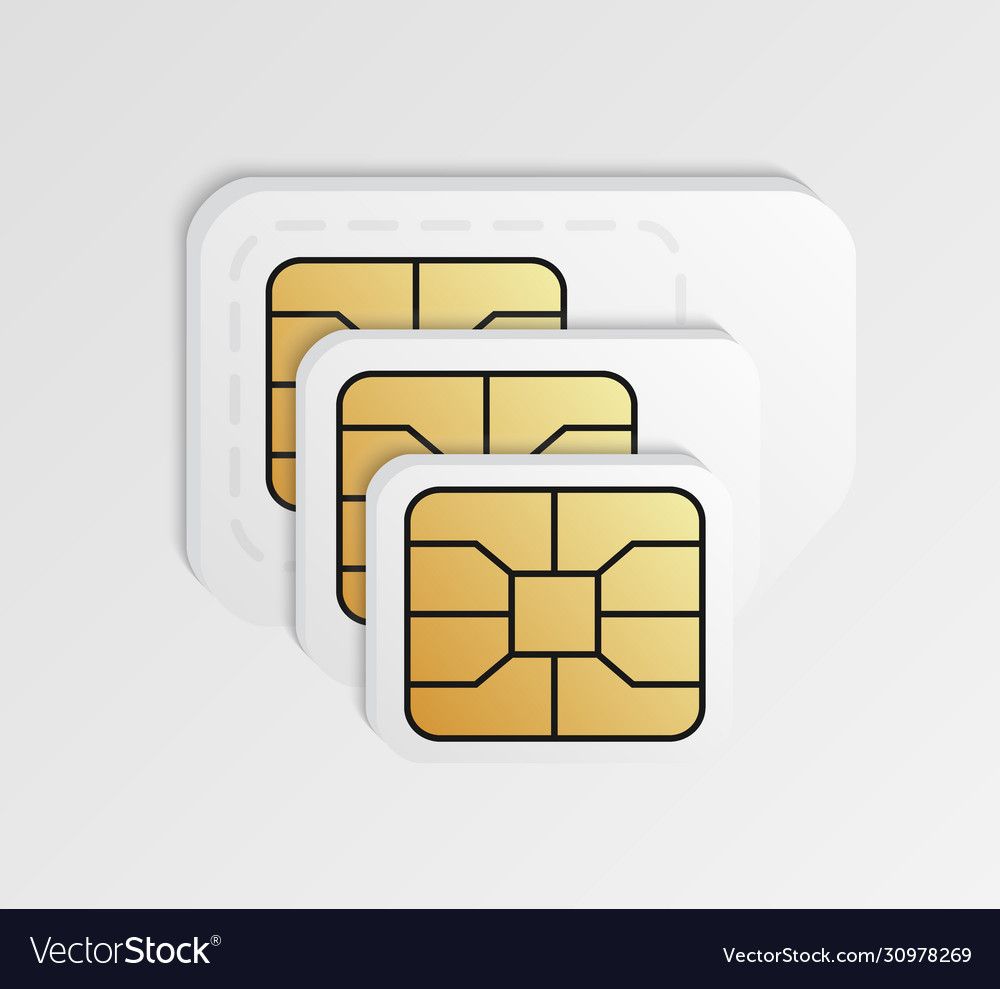 Blank Sim Cards In Different Sizes Standard Vector Image