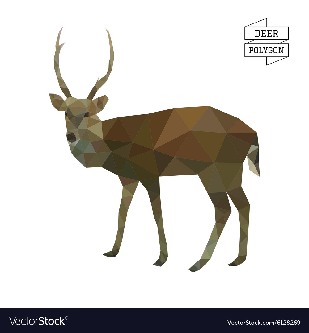 Deer polygon Royalty Free Vector Image - VectorStock