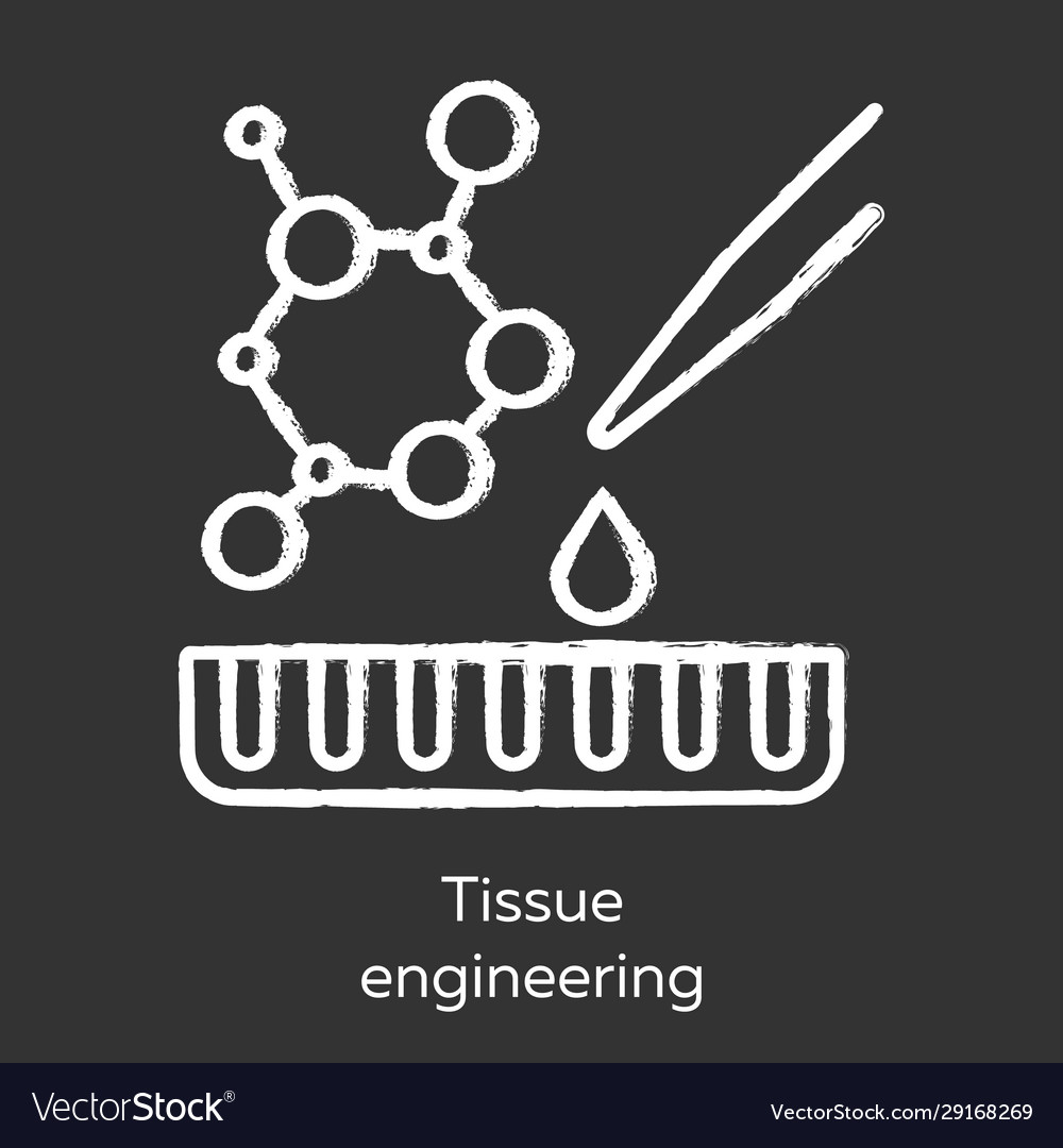 Tissue Engineering Chalk Icon Combining Cells And Vector Image