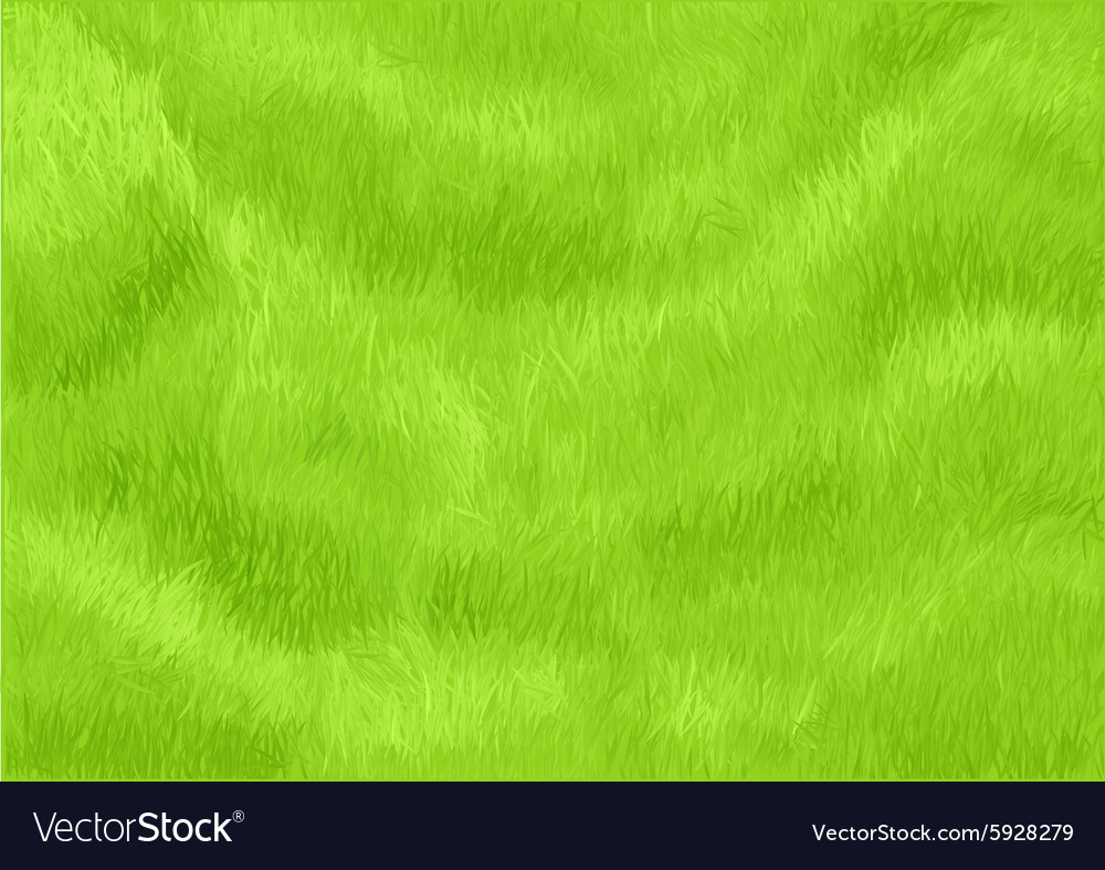 Grass background Royalty Free Vector Image - VectorStock