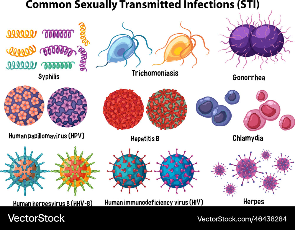 Common sexually transmitted infections sti Vector Image