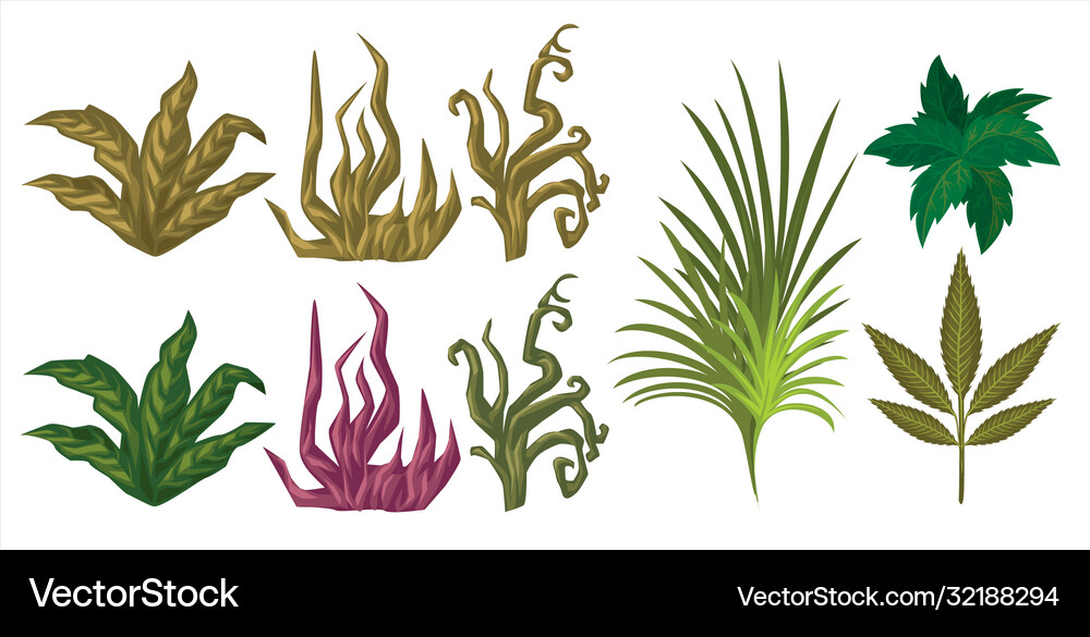 Beautiful plants for garden Royalty Free Vector Image