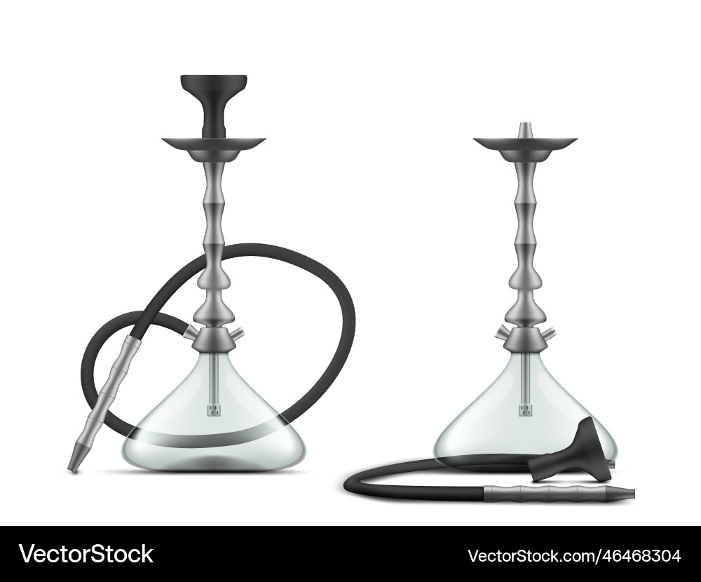 3d metal smoking hookah lounge cafe tool Vector Image