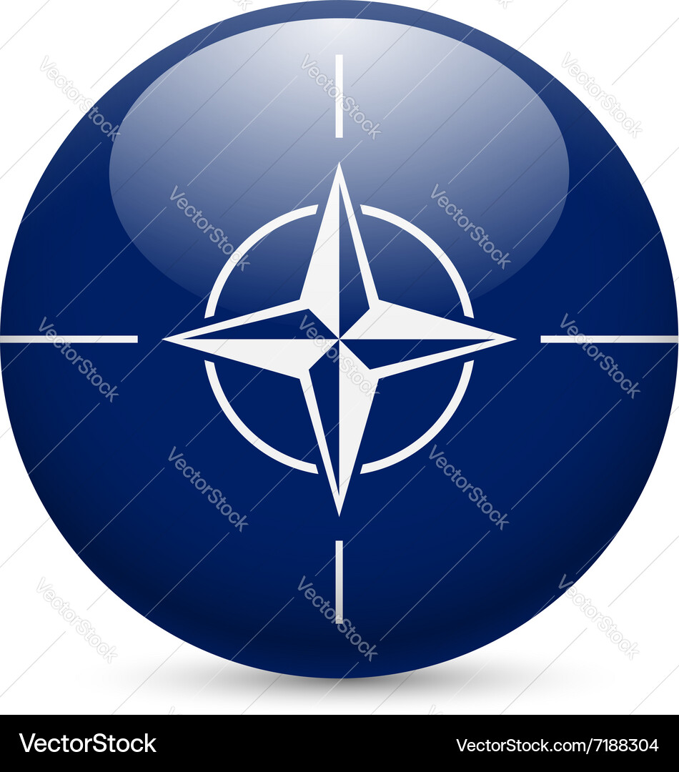 Round glossy icon nato Royalty Free Vector Image
