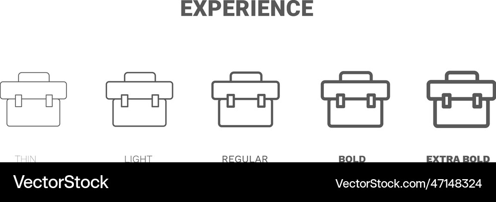 Experience icon thin regular bold and more style Vector Image