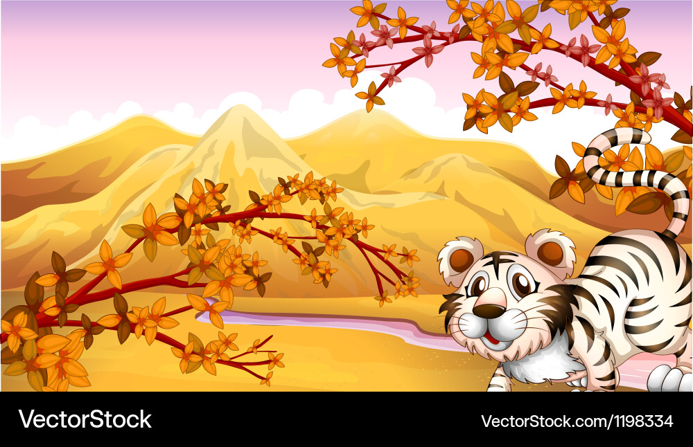 A tiger with a river at back Royalty Free Vector Image