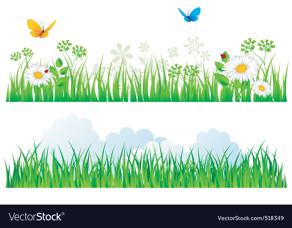 Grass border Royalty Free Vector Image - VectorStock