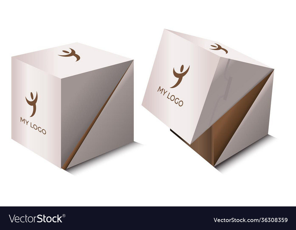 2 square boxes mockup Royalty Free Vector Image
