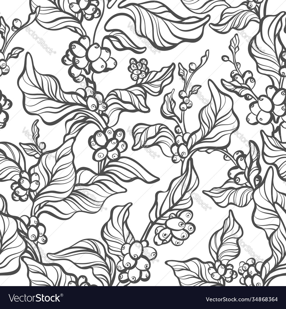 Seamless pattern coffee tree Royalty Free Vector Image