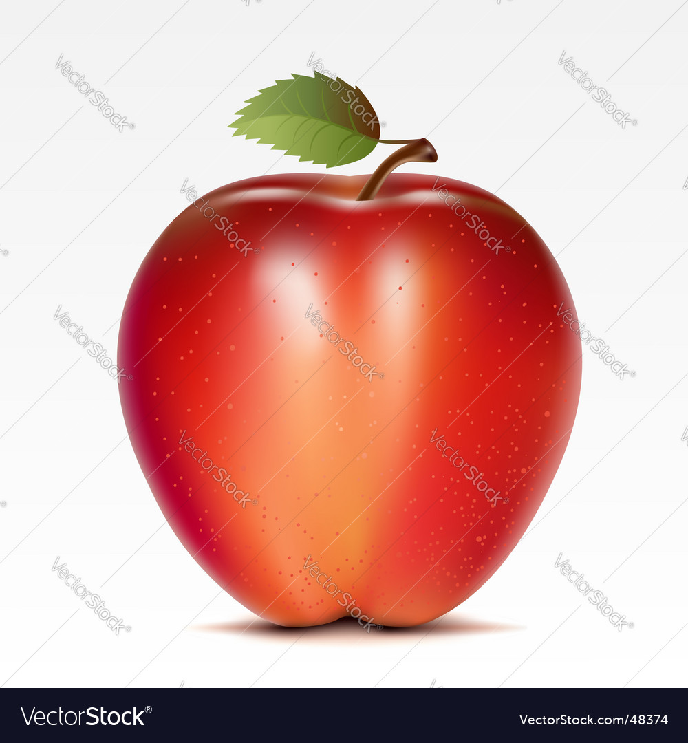Apple Royalty Free Vector Image - VectorStock
