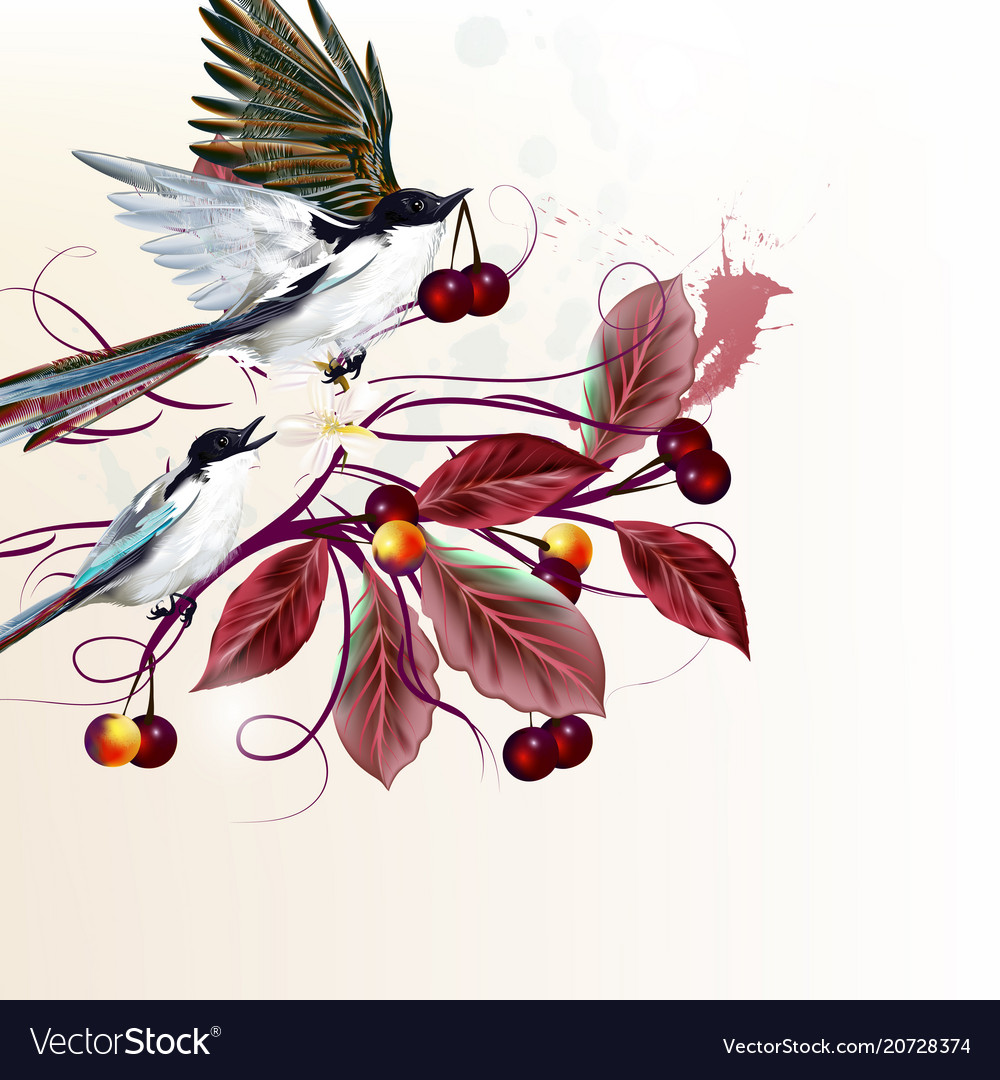 Floral with birds and branches Royalty Free Vector Image