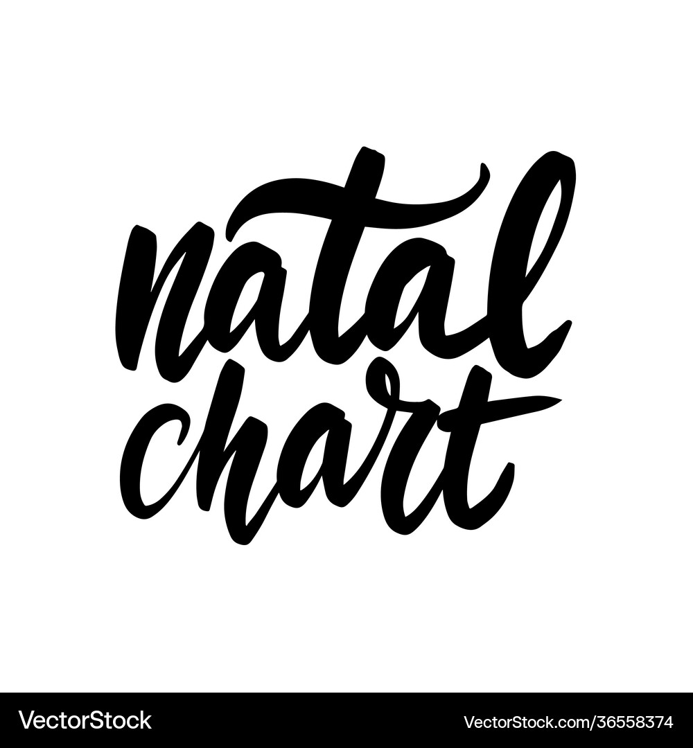 Natal chart astrology birth symbol Royalty Free Vector Image