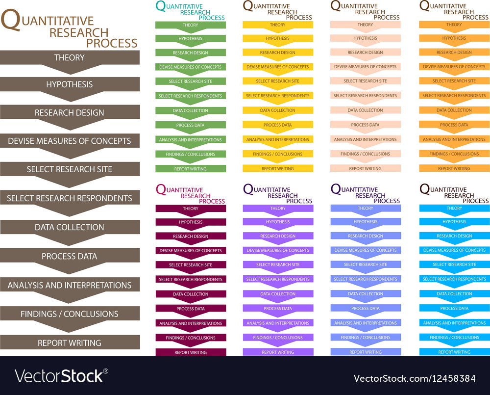 11 step of qualitative research process Royalty Free Vector