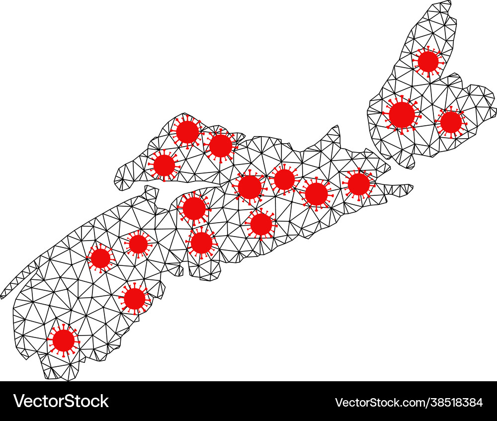 Carcass polygonal map nova scotia province Vector Image