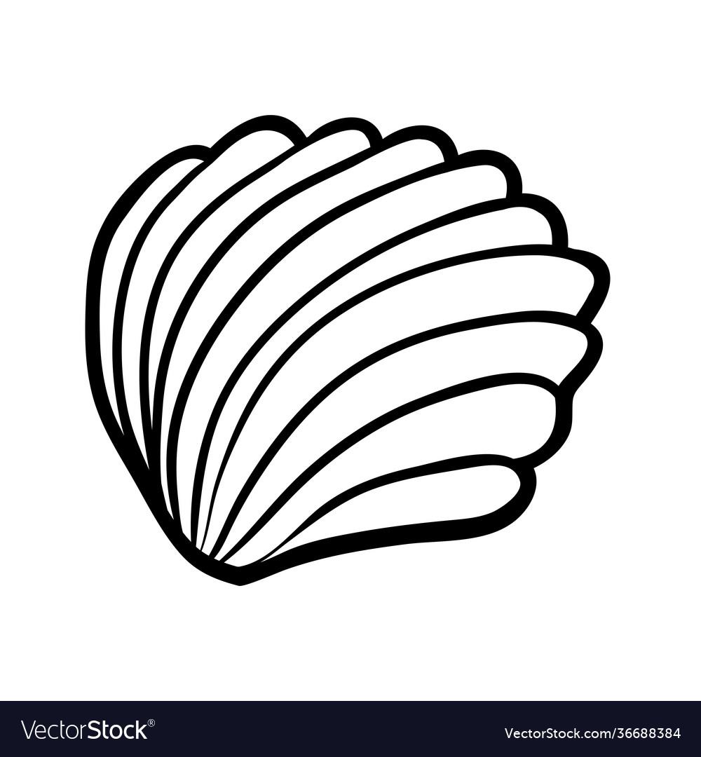 Coloring book shell Royalty Free Vector Image - VectorStock