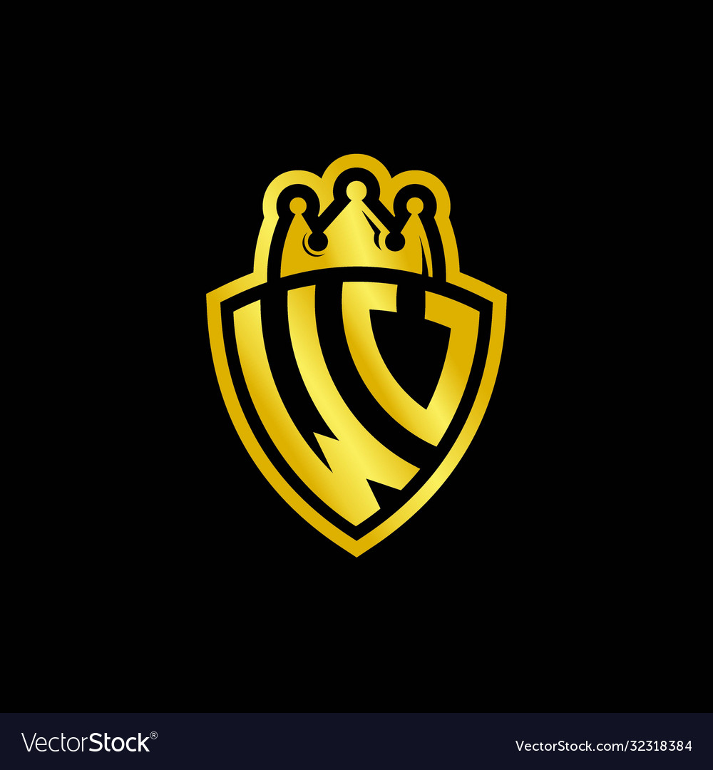Wv monogram logo with shield and crown style Vector Image