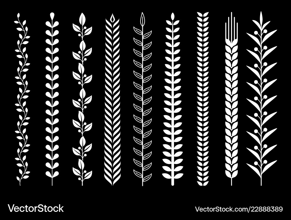 Leaf nature pattern Royalty Free Vector Image - VectorStock