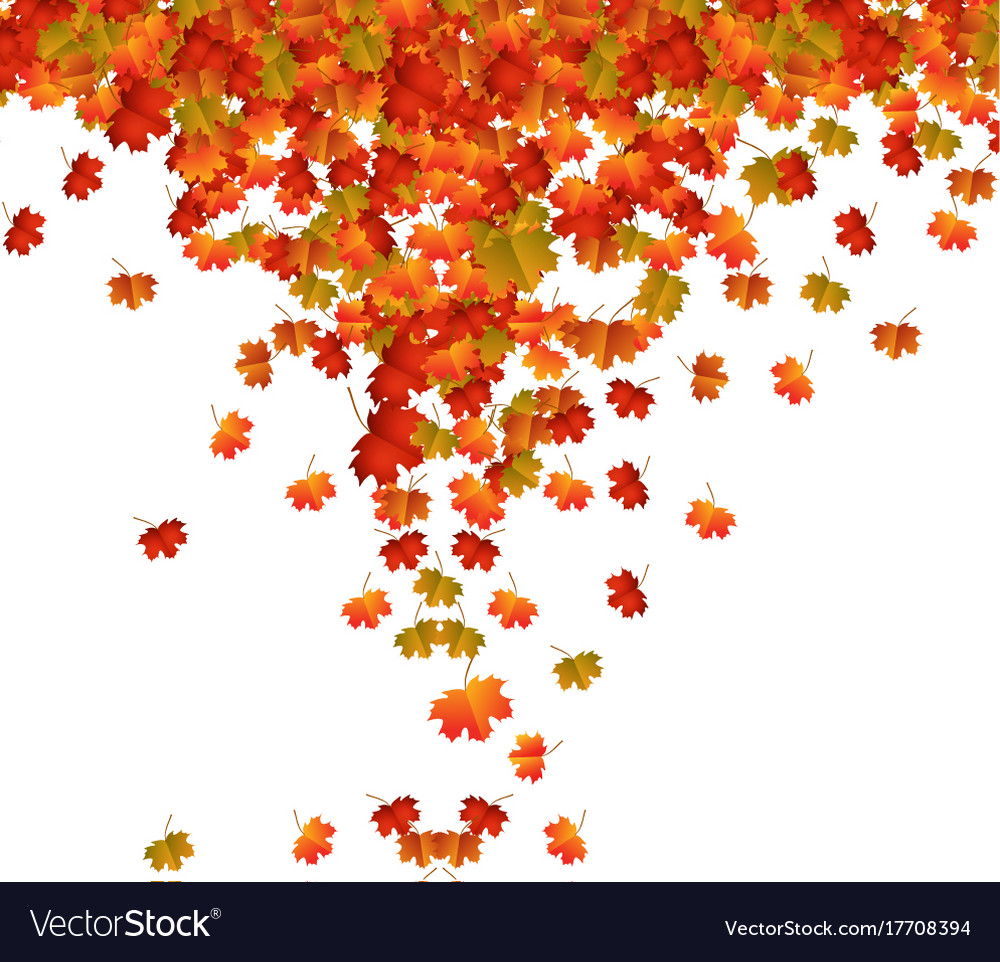 Fall leaves background Royalty Free Vector Image