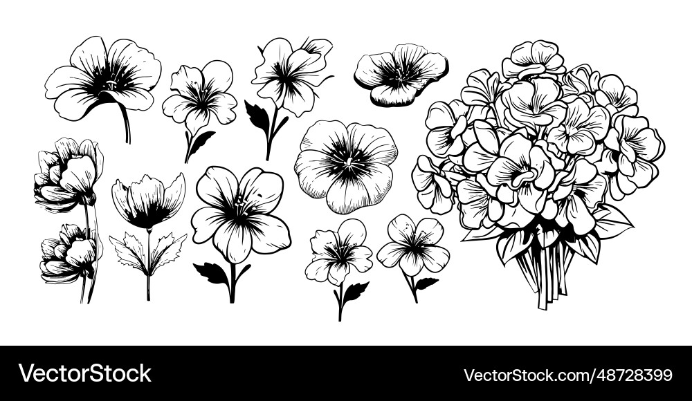 Violet flower set sketch hand drawn Royalty Free Vector