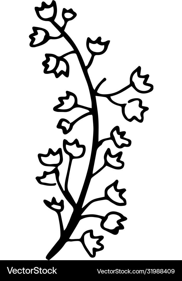 Hand drawing flower and leaves branch Royalty Free Vector