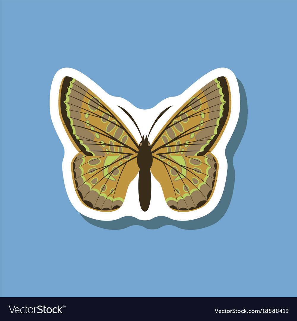 Butterfly Paper Sticker On Stylish Background Vector Image