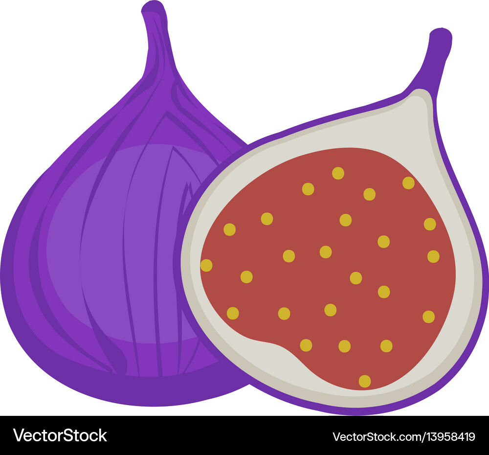 Fresh figs icon flat cartoon styleisolated on Vector Image