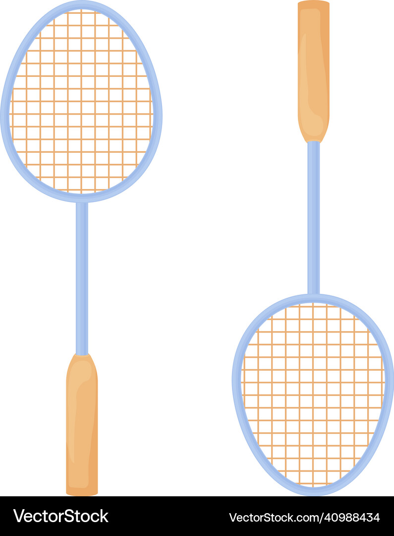 Badminton rackets two rackets located Royalty Free Vector