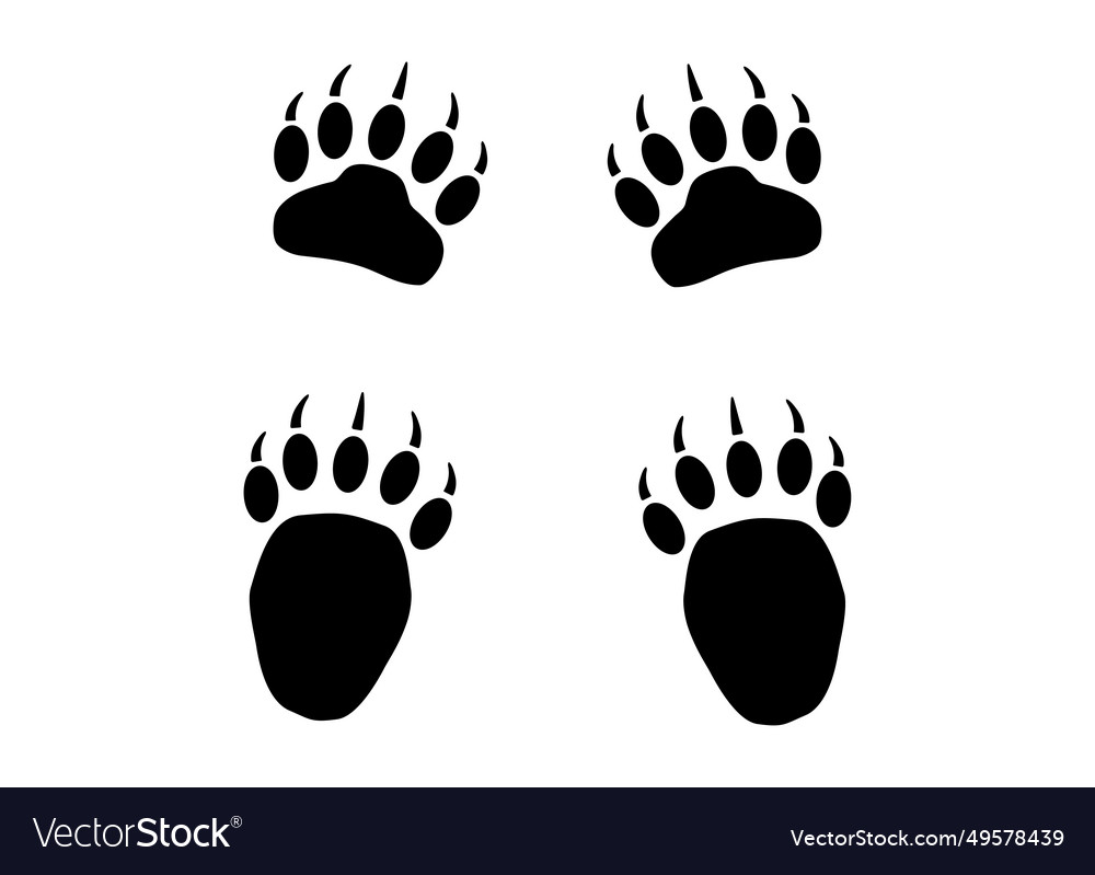Bear Or Panda Furry Paw Footprint With Claws Vector Image