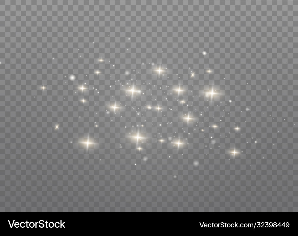 Sparkling dust particles Royalty Free Vector Image