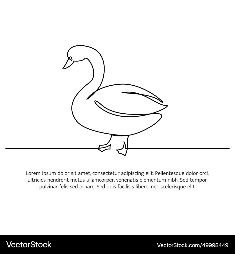 Swan line design decorative elements drawn Vector Image