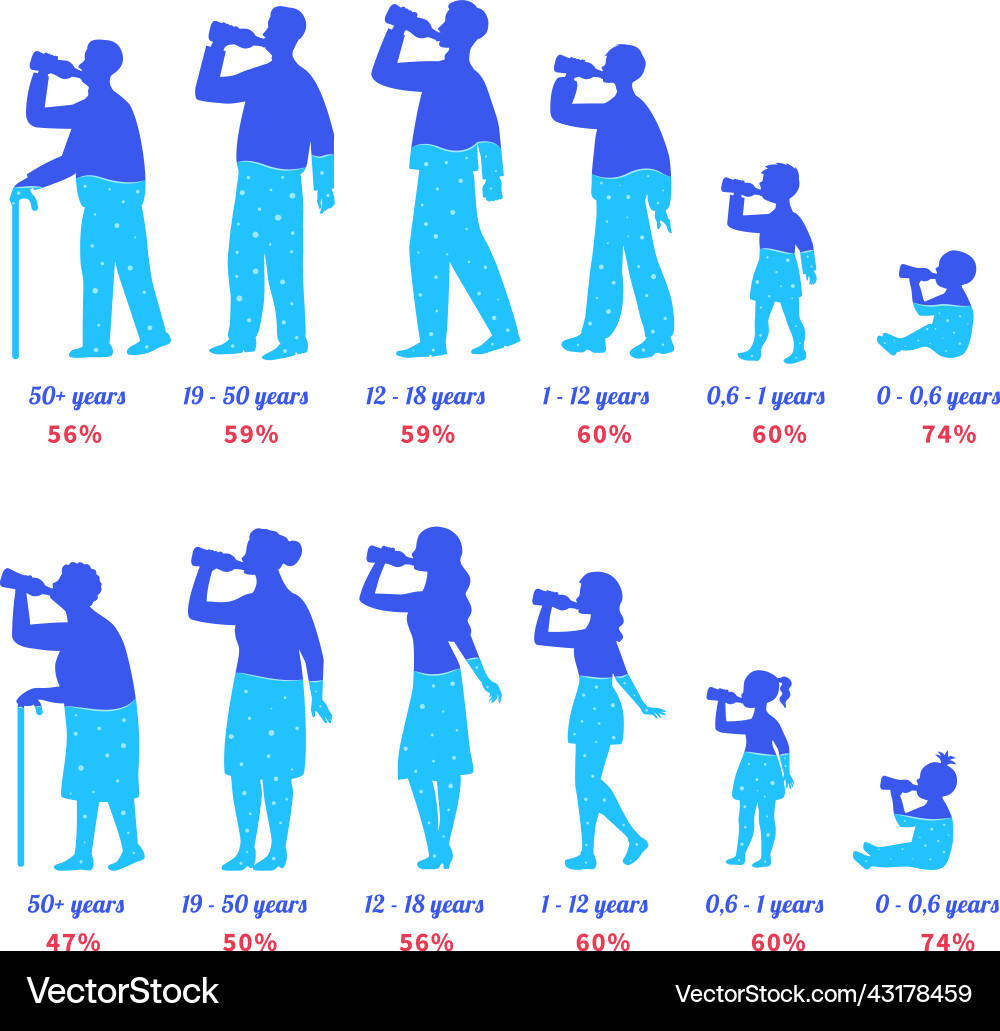 Body water percentage different age people Vector Image