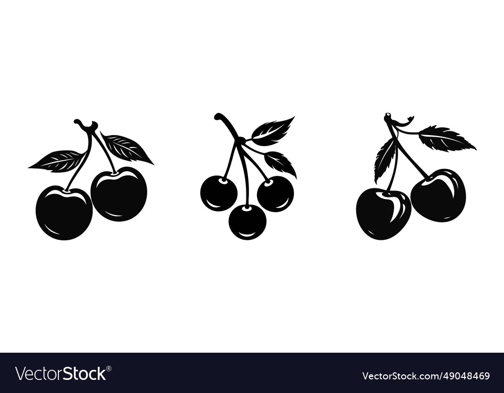 Captivating cherry typography stunning text-based Vector Image