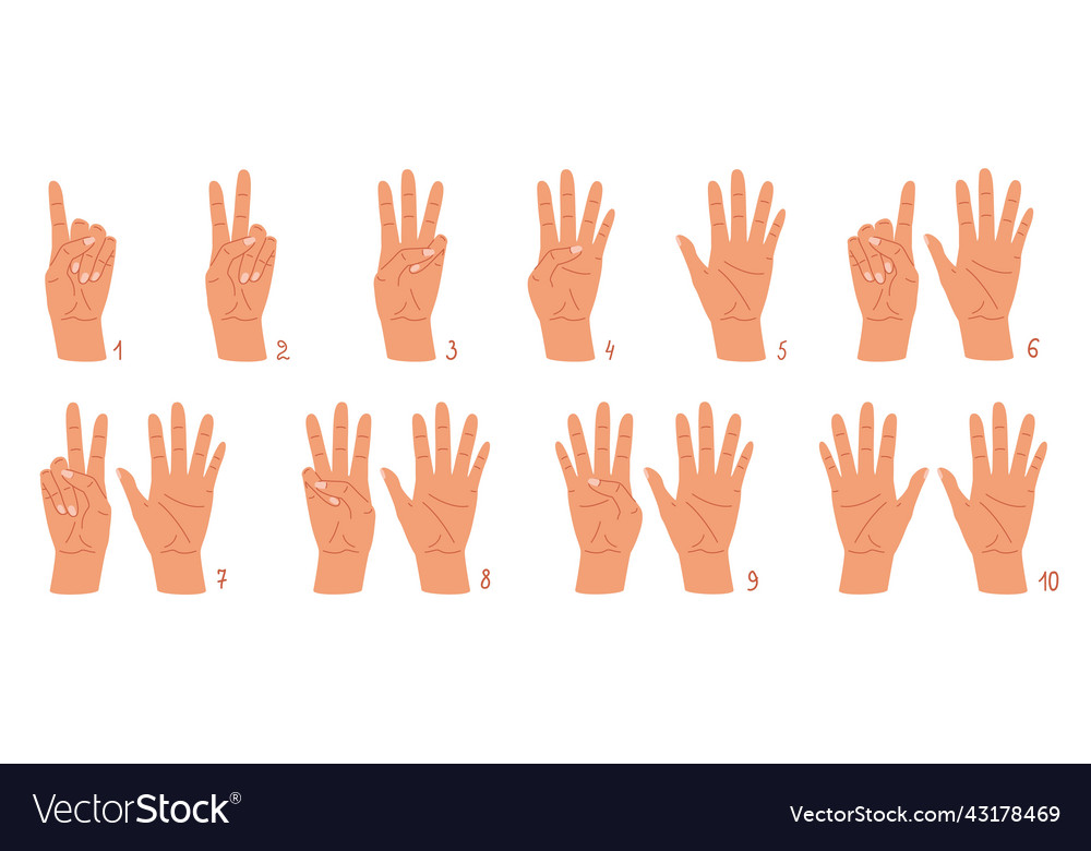 Cartoon hands count gesture human wrist finger Vector Image