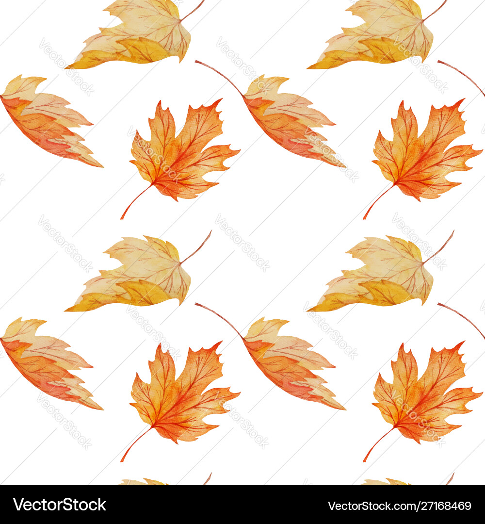 Watercolor maple leaves seamless pattern Vector Image