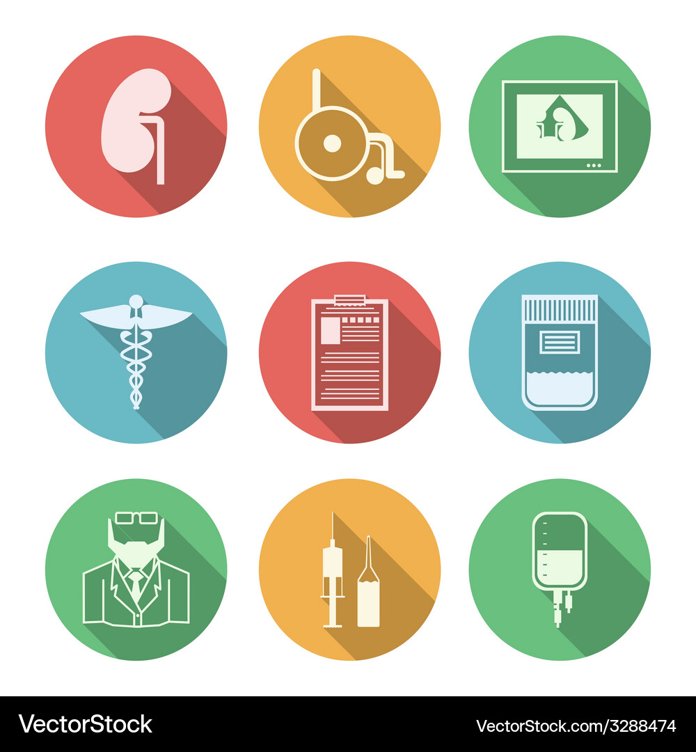 Colored icons for nephrology Royalty Free Vector Image